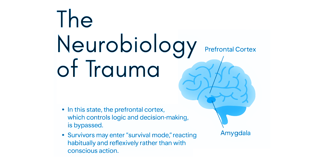 Understanding “Survival Mode”: The Science Behind Victim Behavior ...